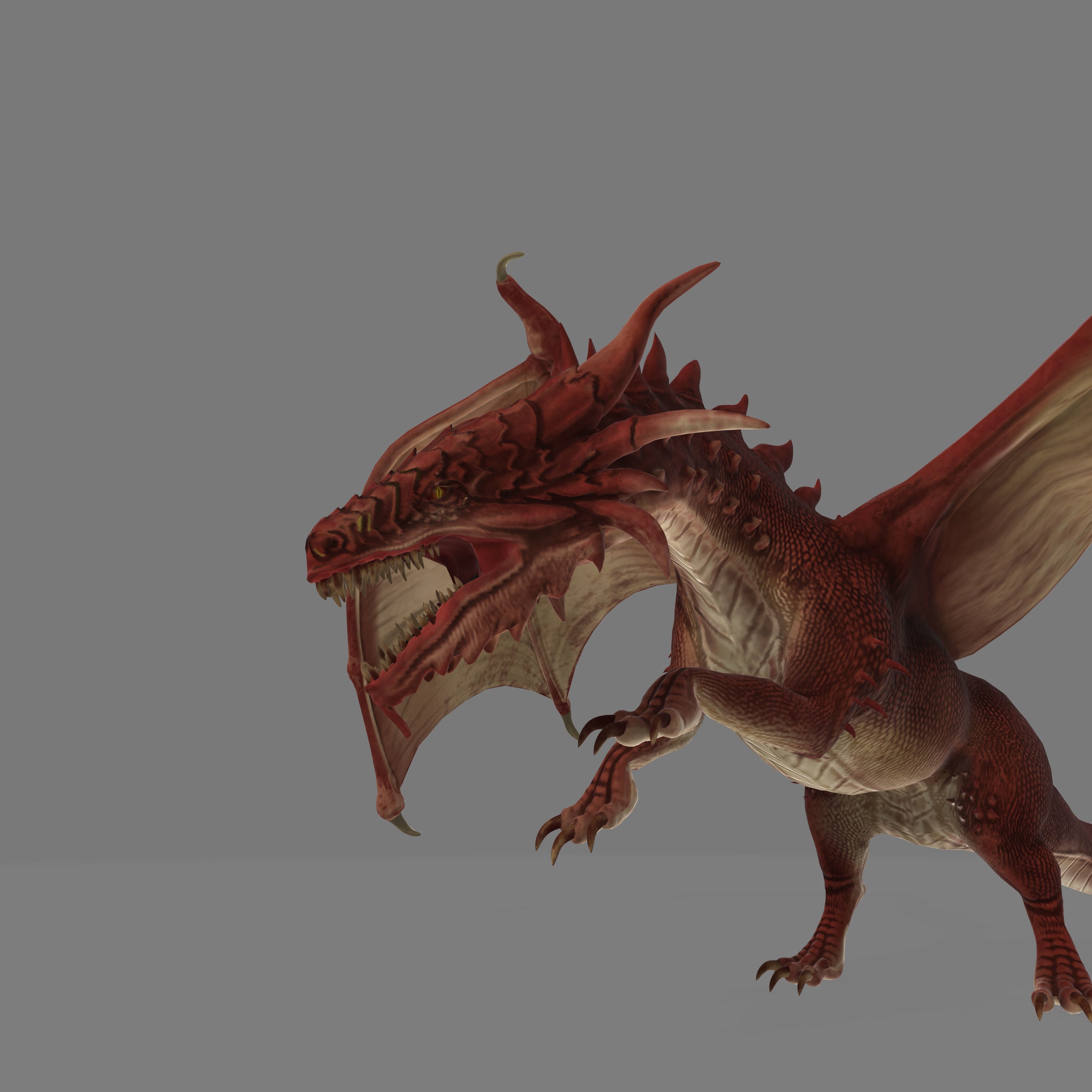 red dragon 3D model | CGTrader
