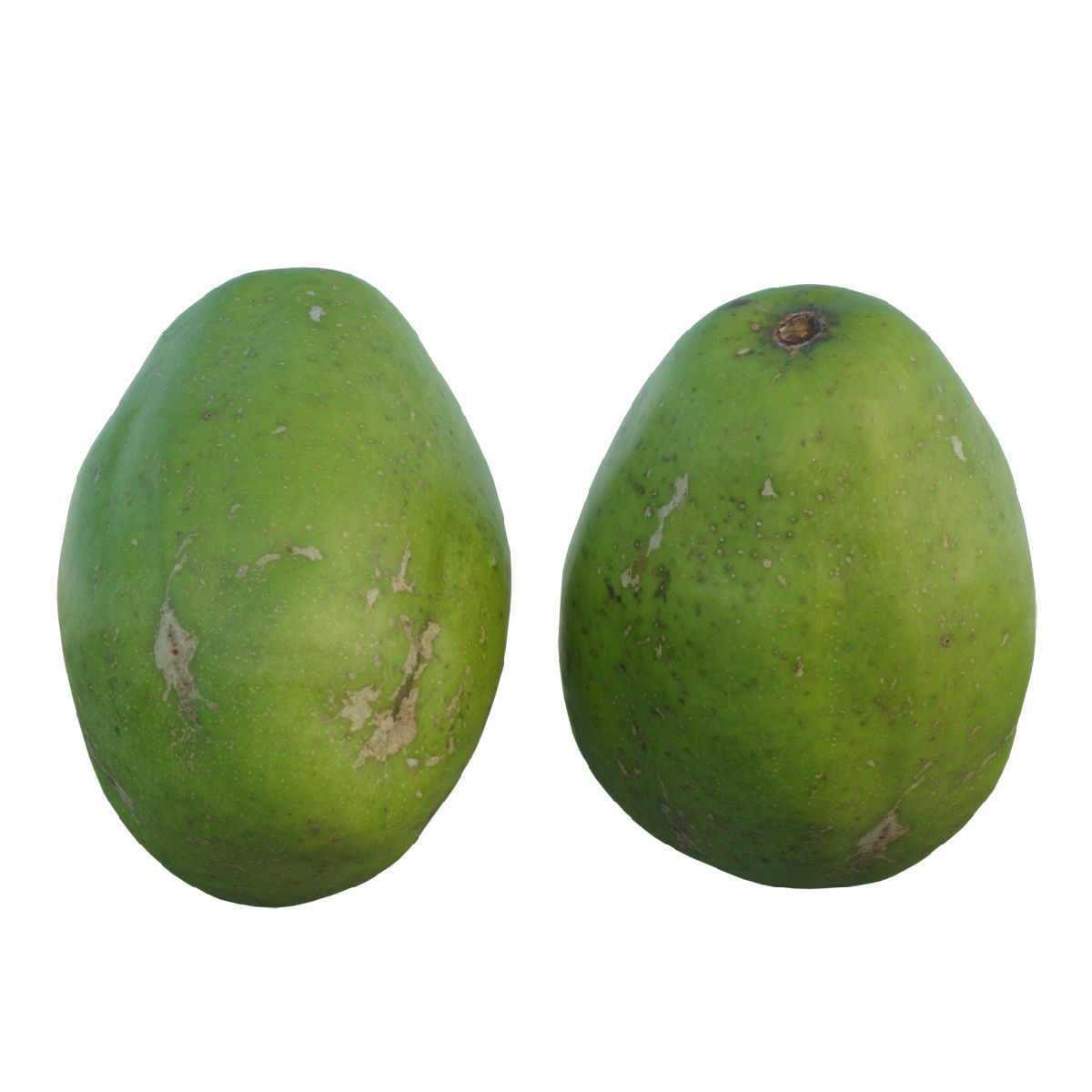 ambarella 02 3D model | CGTrader