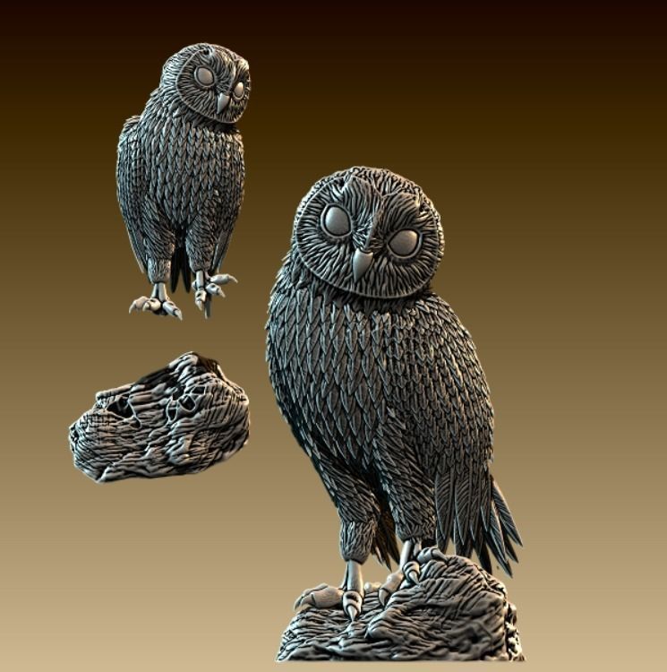 Barn Owl 3D model 3D printable | CGTrader