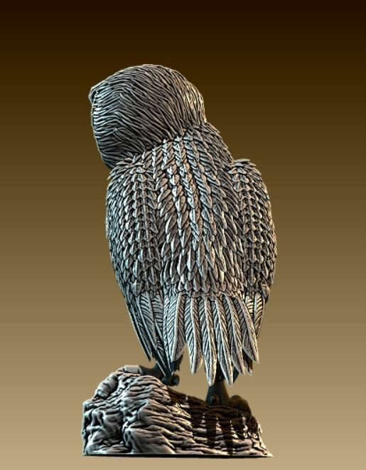 Barn Owl 3D model 3D printable | CGTrader