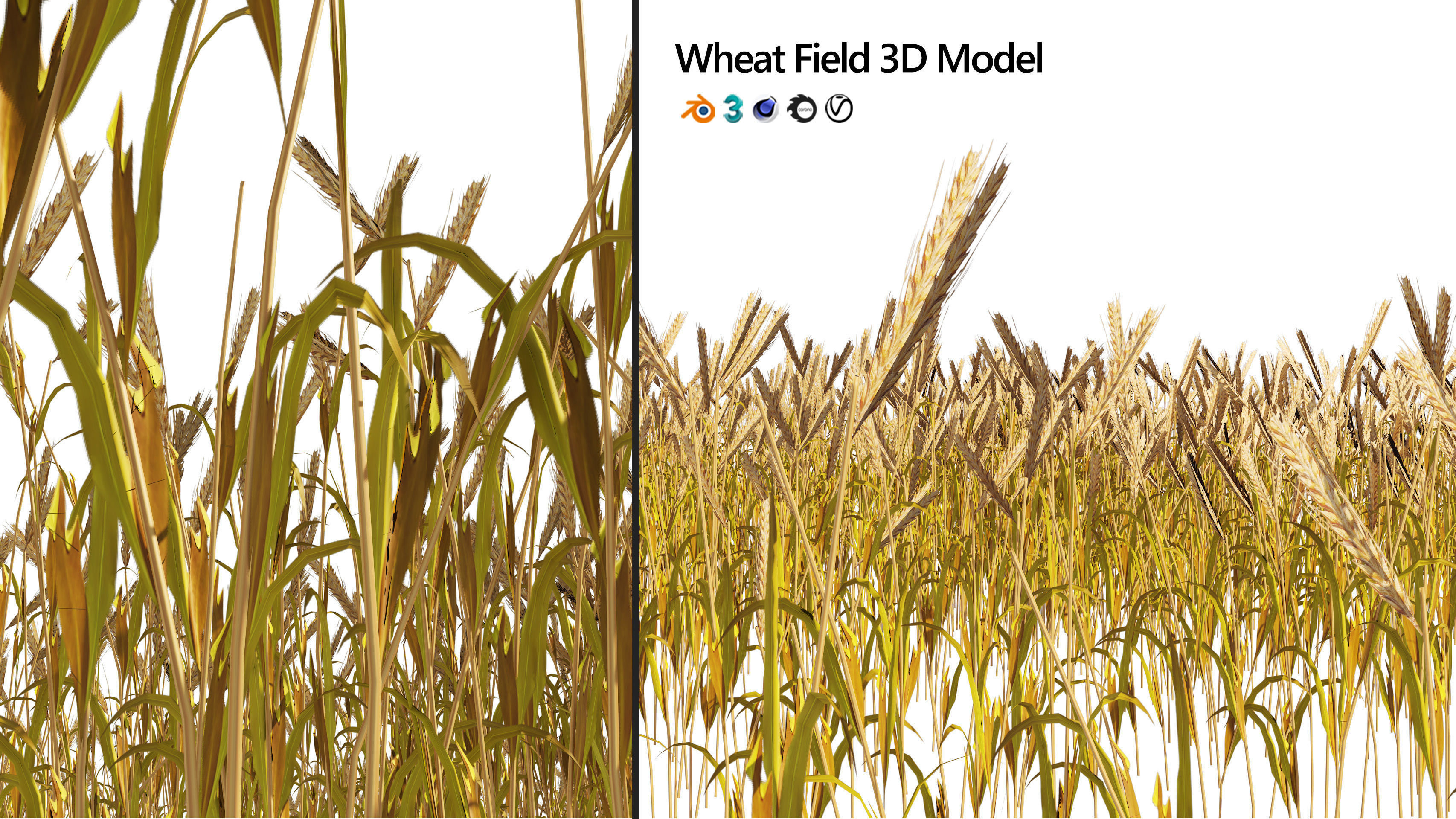 3D model Golden wheat field VR / AR / low-poly | CGTrader