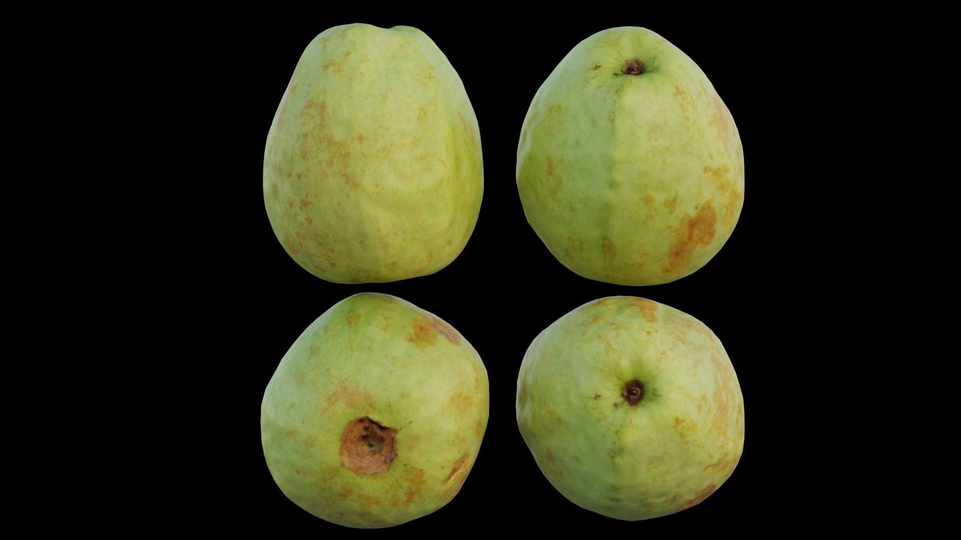 Guava 02 3D model | CGTrader