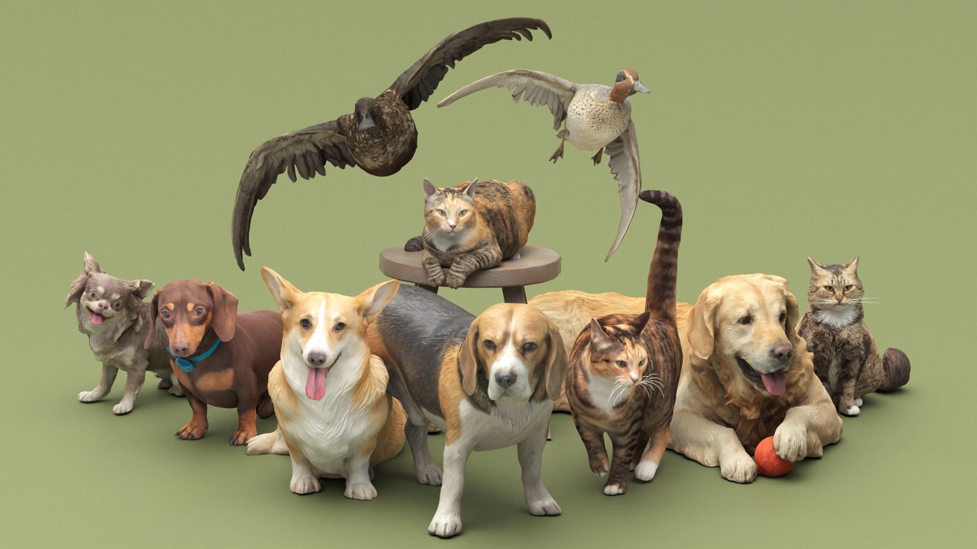 Pets 01 3D Model Collection | CGTrader