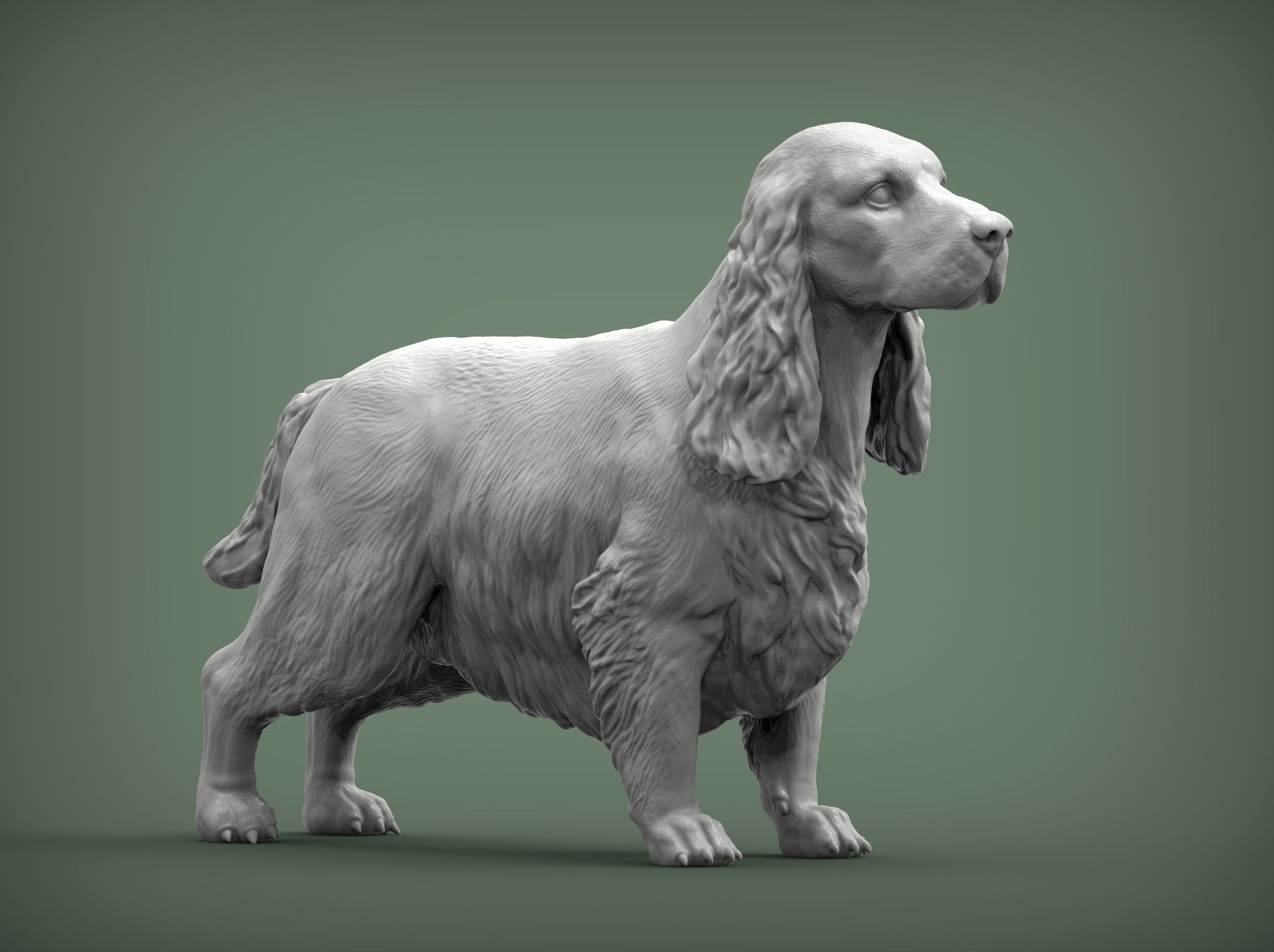 English Cocker Spaniel 3D model 3D printable | CGTrader