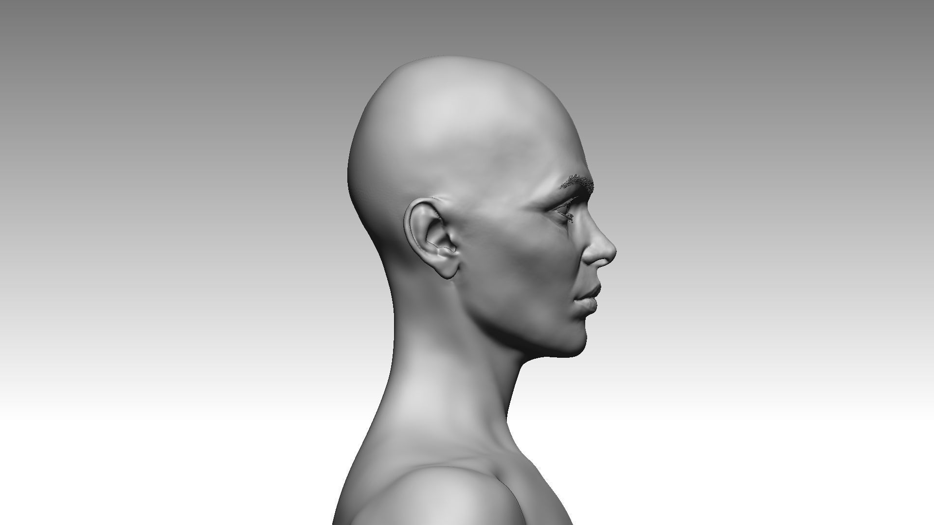 Female body Base mesh 3D model | CGTrader