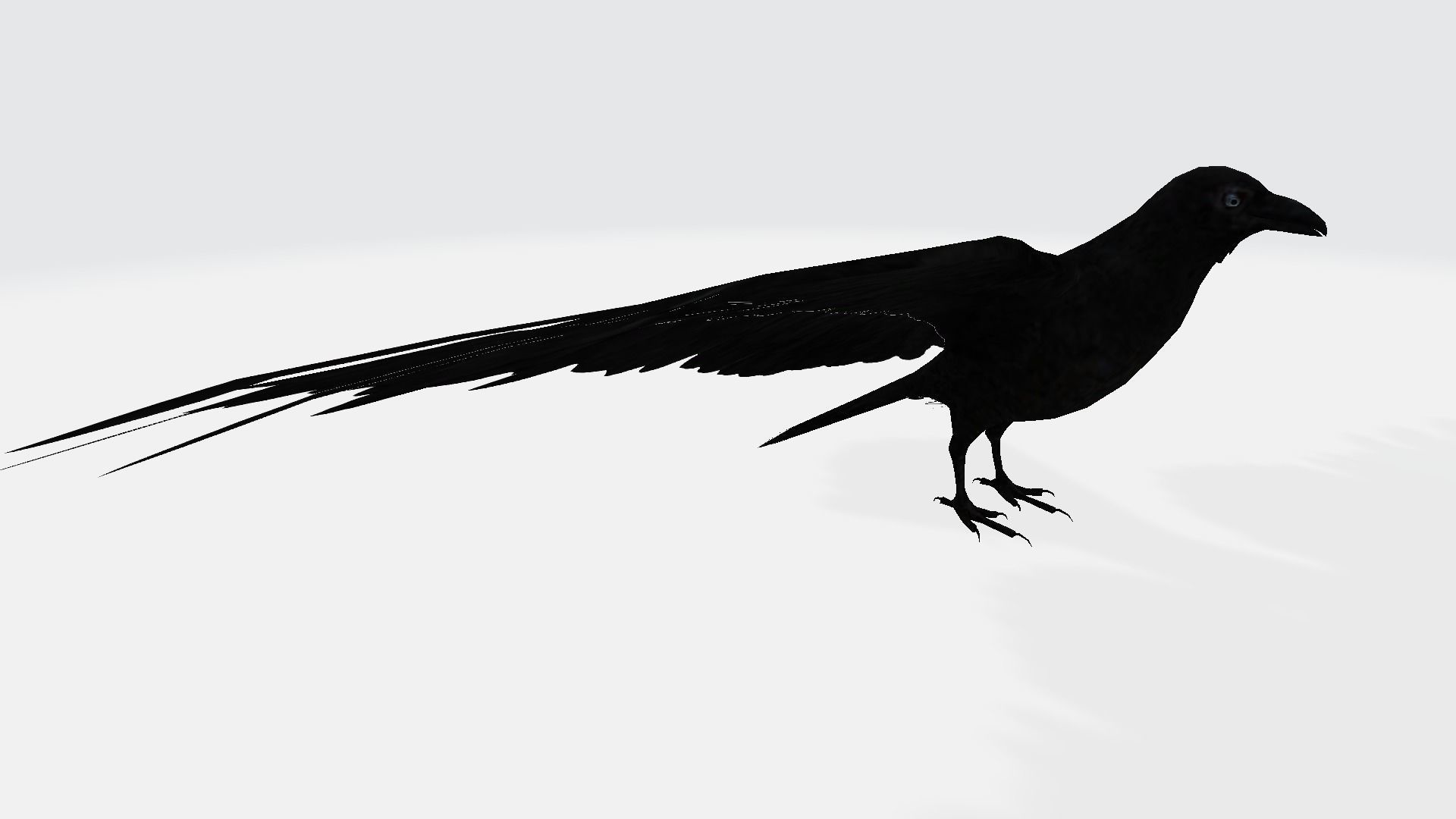 Crow 3d raven with wings spread 3D model | CGTrader