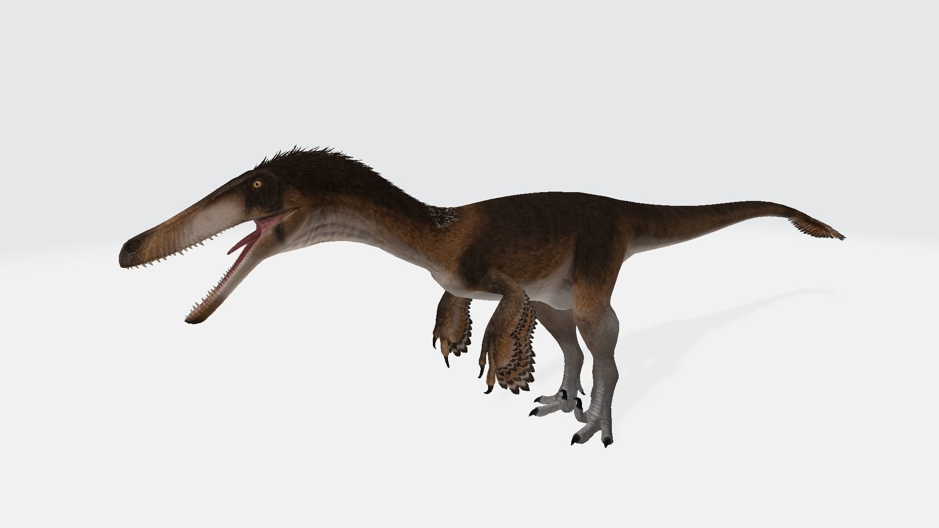 Austroraptor dinosaur 3D model | CGTrader