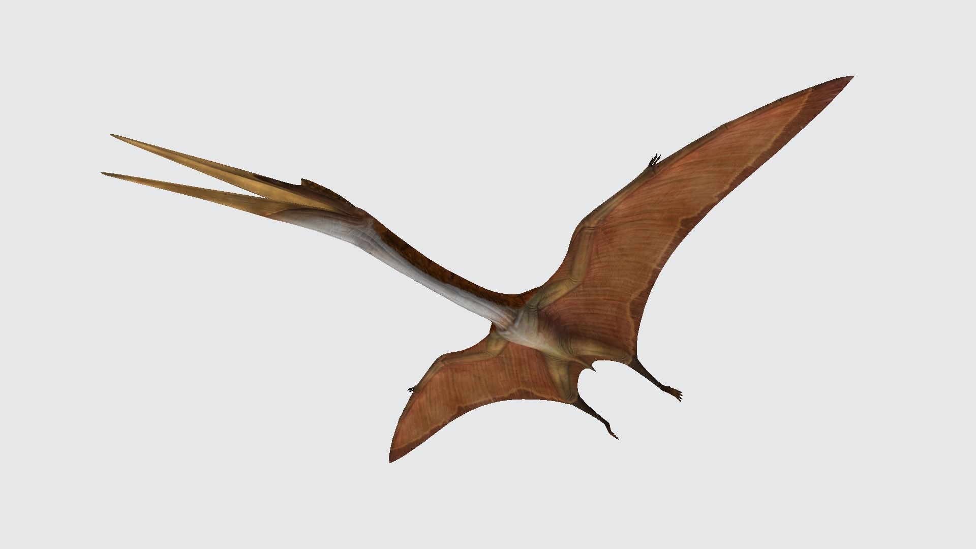 quetzalcoatlus dinosaur flying in air 3D model | CGTrader