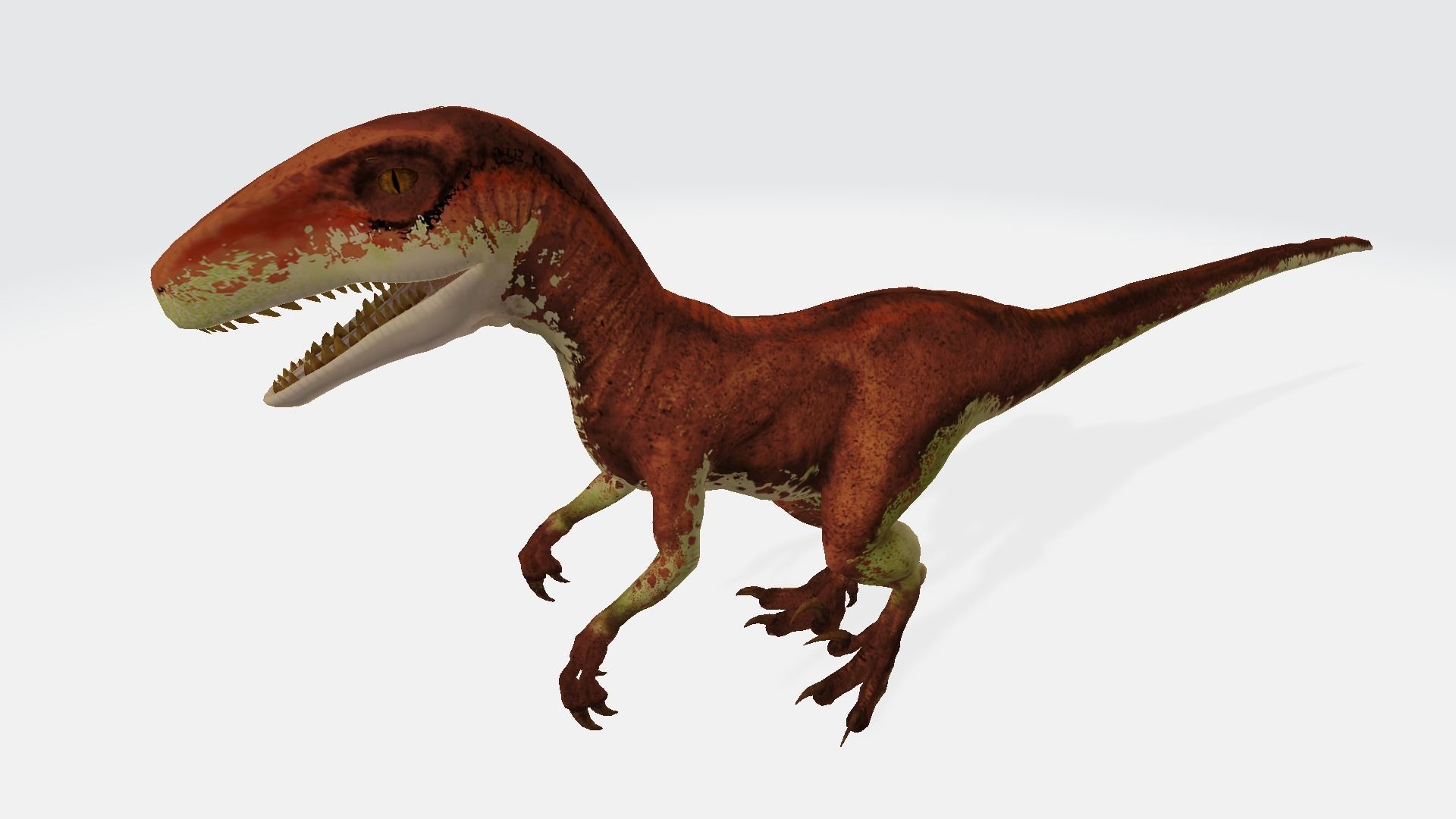 Atrociraptor dinosaur 3D model | CGTrader