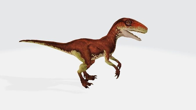 Atrociraptor dinosaur 3D model | CGTrader