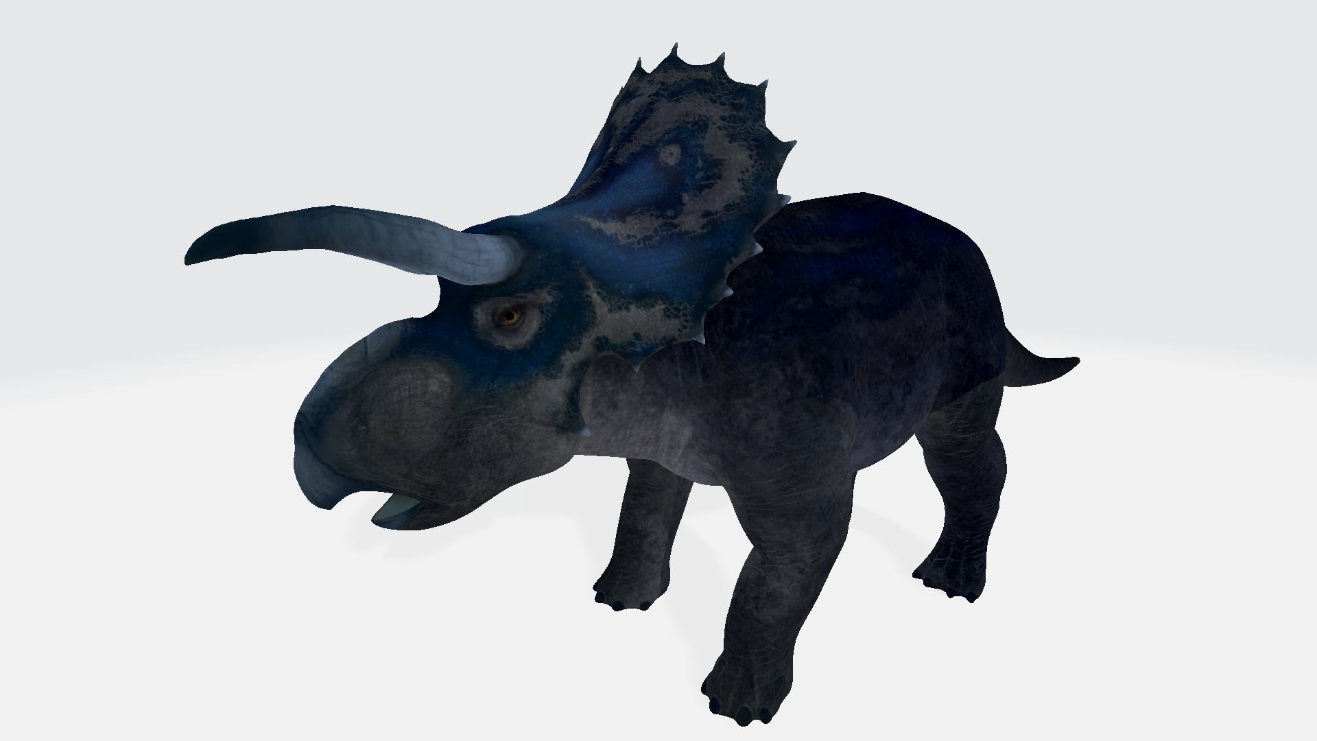 Avaceratops triceratops dinosaur 3D model | CGTrader