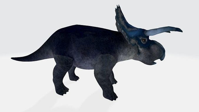 Avaceratops