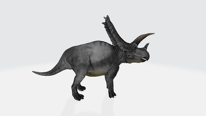 Bravoceratops