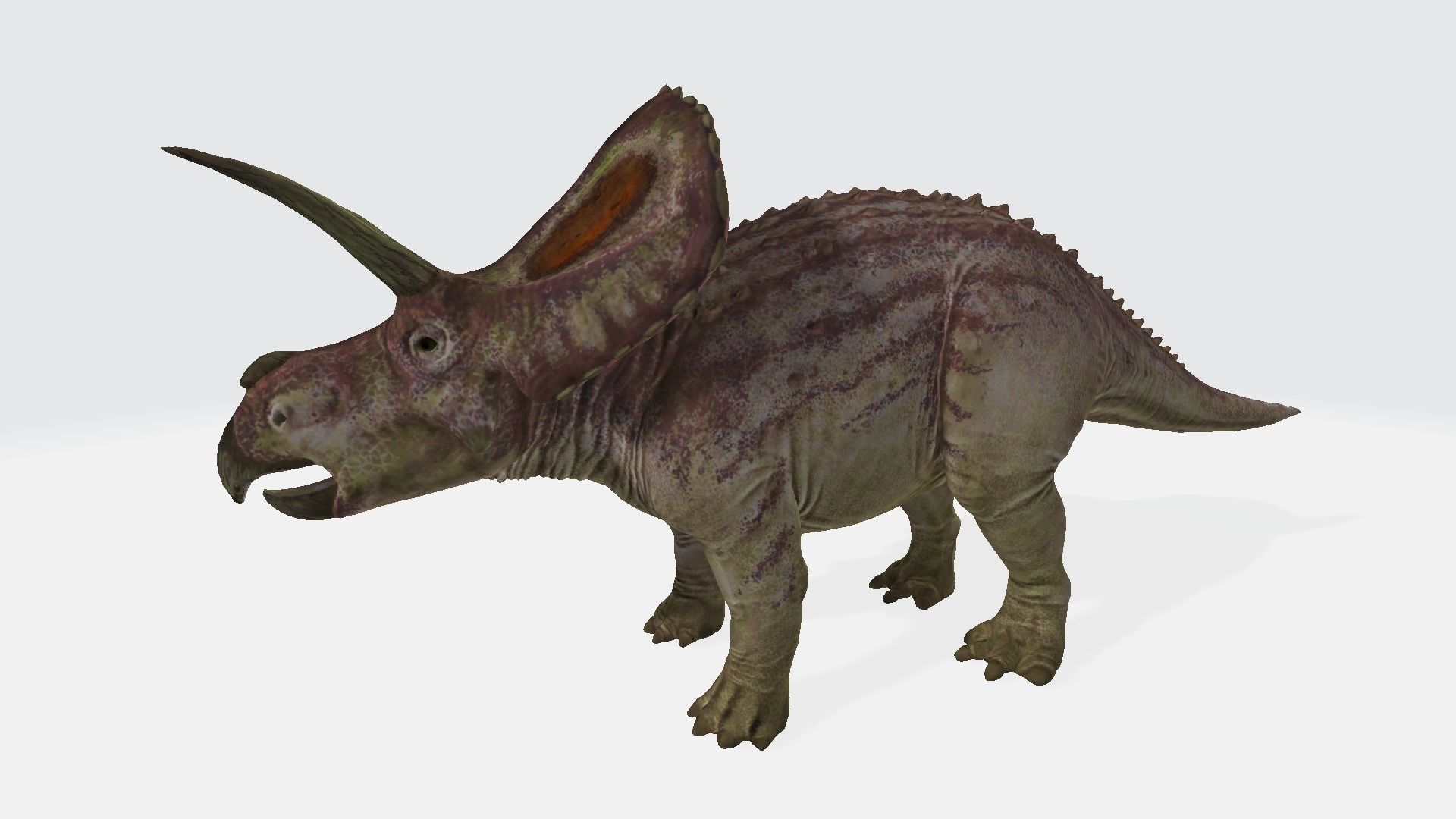 Diceratops dinosaur 3D model | CGTrader
