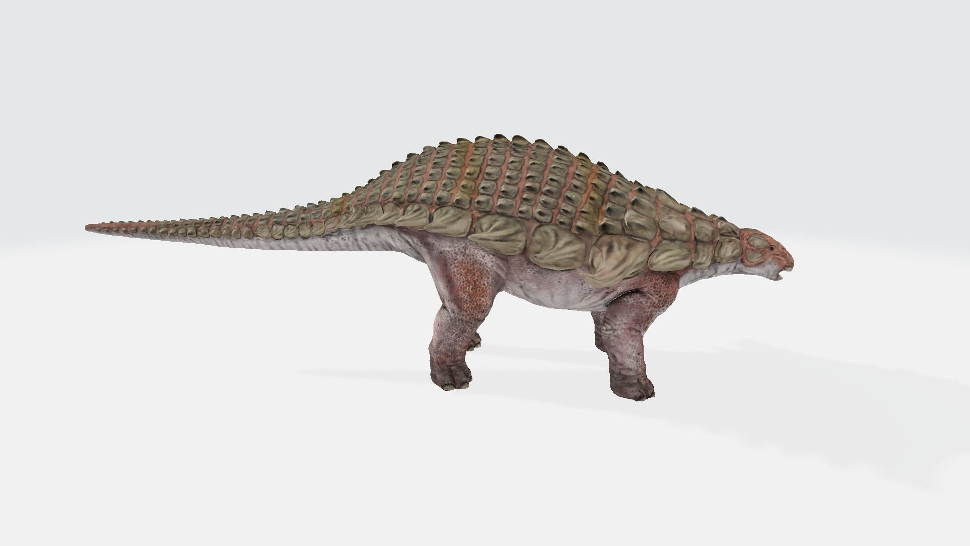Edmontonia dinosaur 3D model | CGTrader