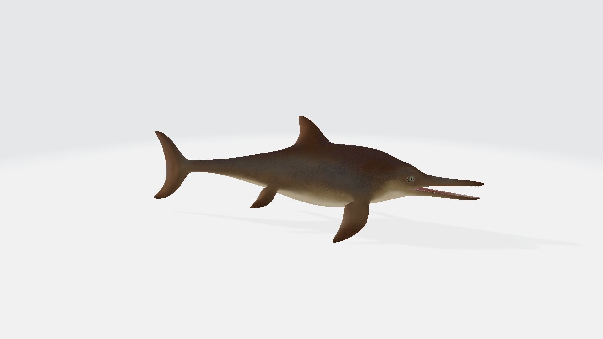 Ichthyosaurus dolphin 3D model | CGTrader