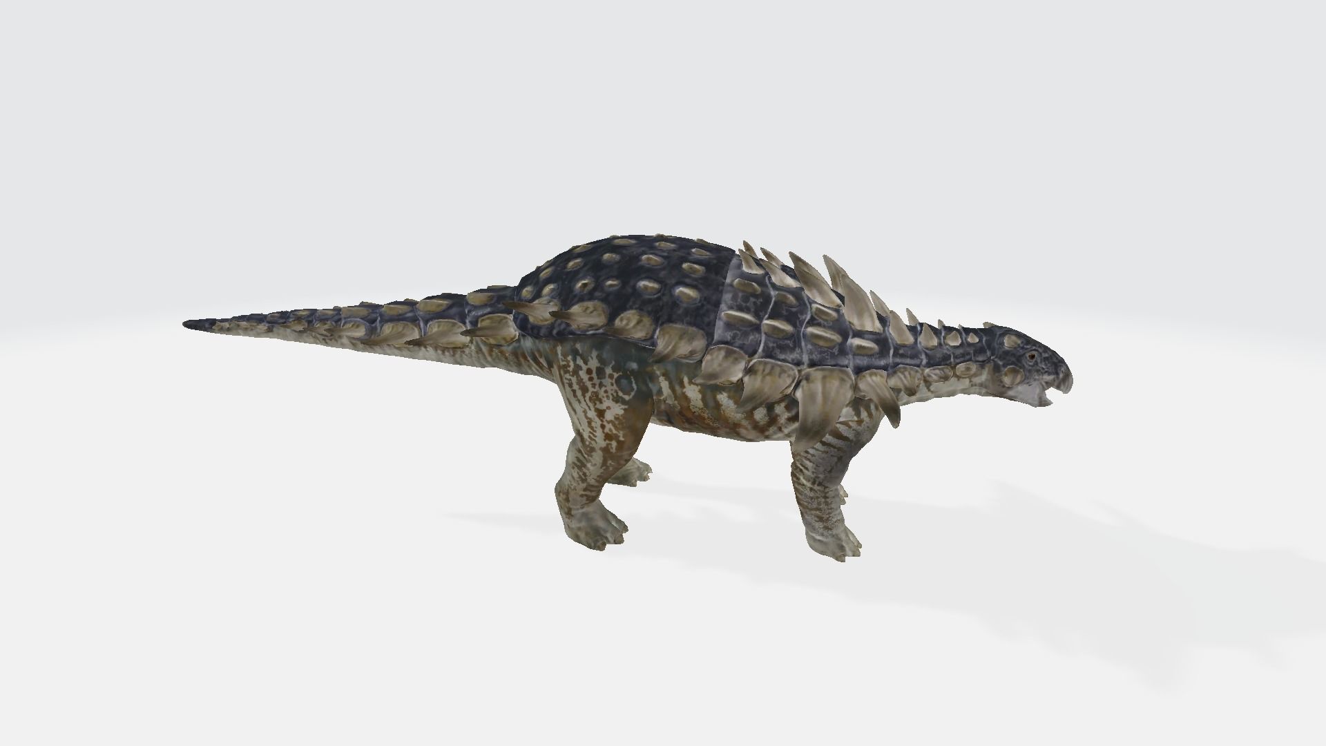 Polacanthus 3D model | CGTrader
