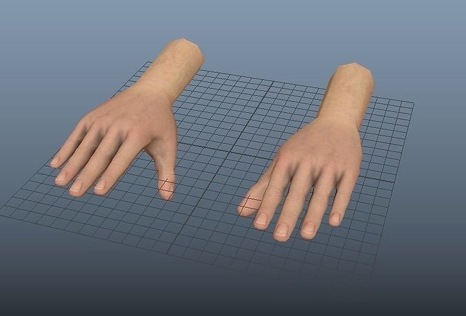 Female Hand Lowpoly free VR / AR / low-poly 3D model | CGTrader