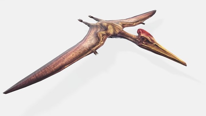 ptero dinosaur flying 3D model | CGTrader