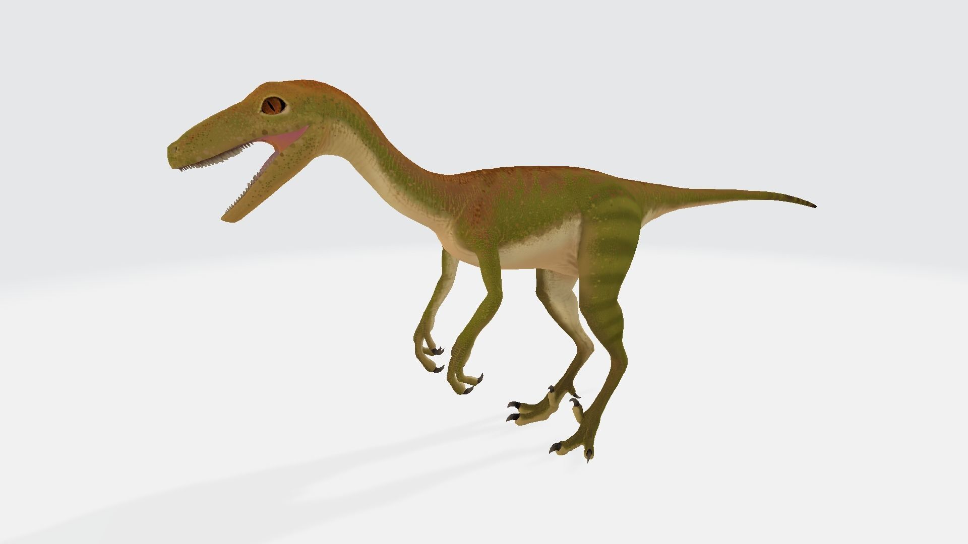 Troodon dinosaur 3D model | CGTrader