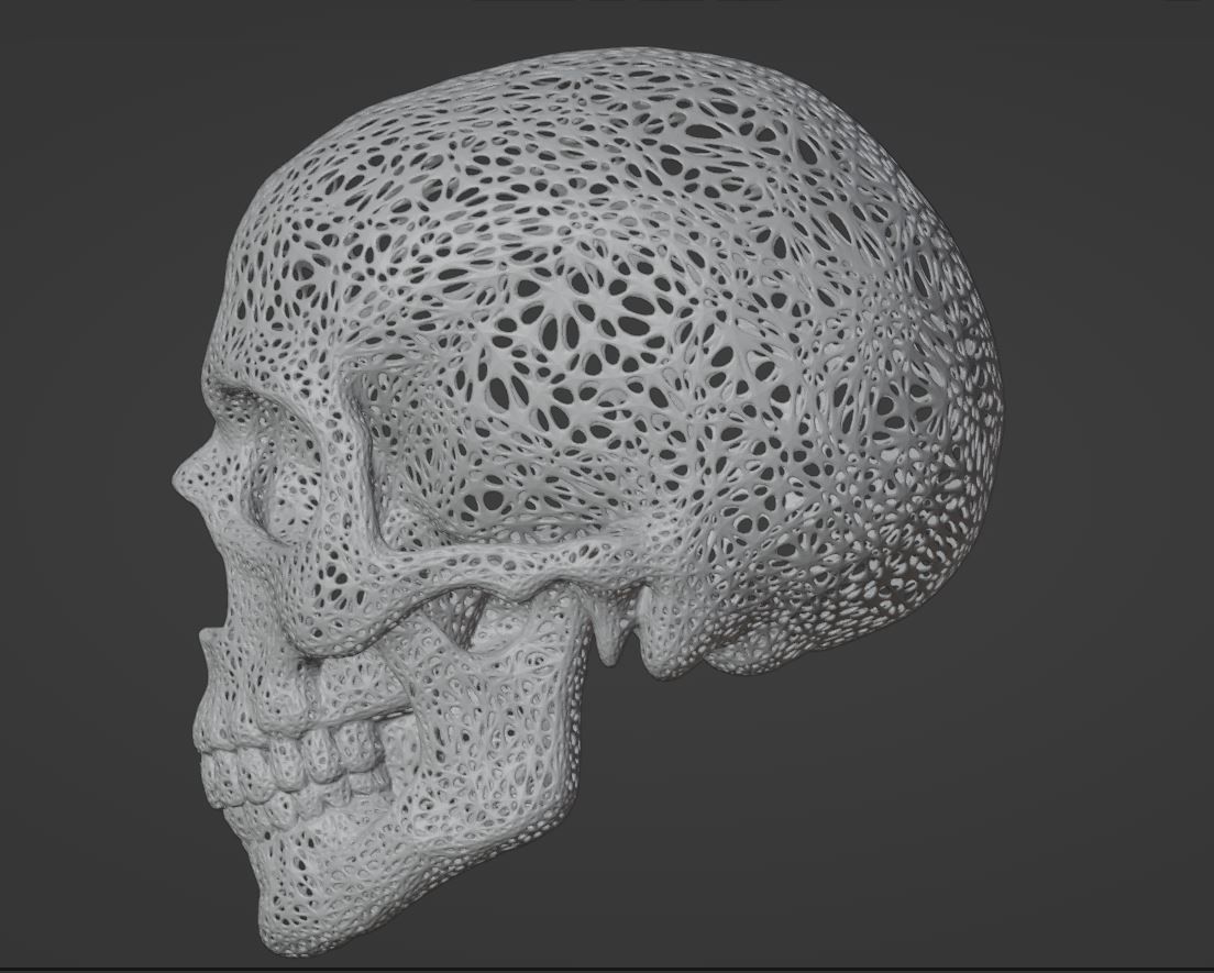 FILIGREE HUMAN SKULL 3D model 3D printable | CGTrader