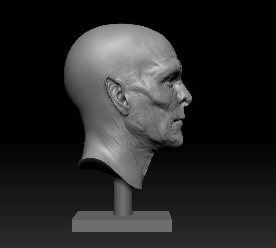 Vampire head bust based on Bram Stokers Dracula 3D model | CGTrader