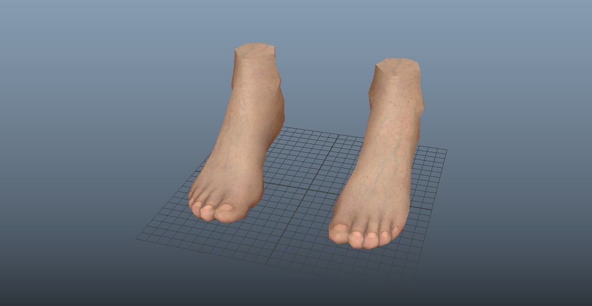 Female Foot Lowpoly free VR / AR / low-poly 3D model | CGTrader