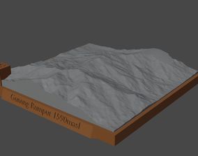 Rumput 3D Models | CGTrader