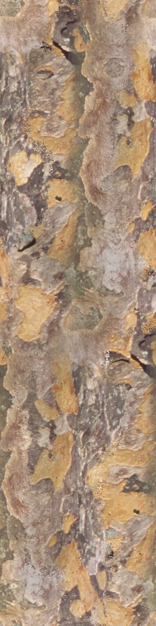 Night Jungle Scene 3D model | CGTrader