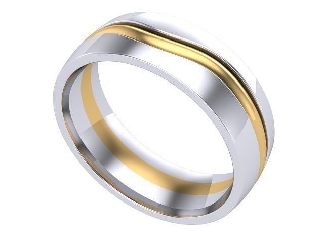 Silver and Gold Band 3D model 3D printable | CGTrader