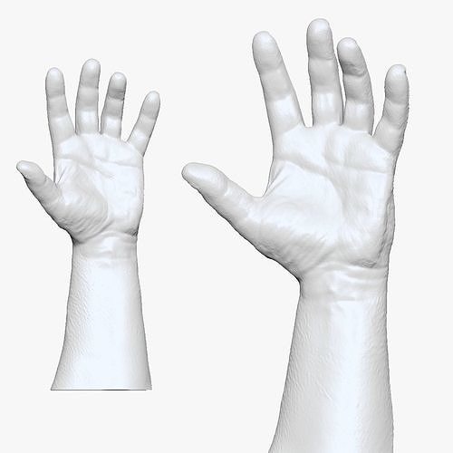 001183 opened hand 3d print ready 3D model 3D printable | CGTrader