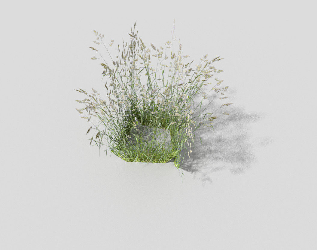 3D model low poly grass VR / AR / low-poly | CGTrader