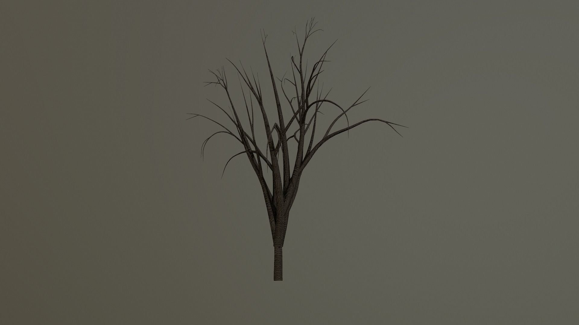 Dead Tree 2 free VR / AR / low-poly 3D model | CGTrader