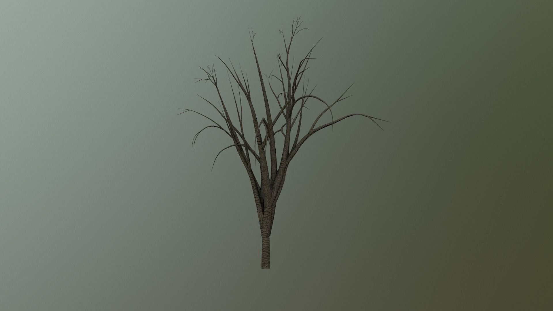 Dead Tree 2 free VR / AR / low-poly 3D model | CGTrader