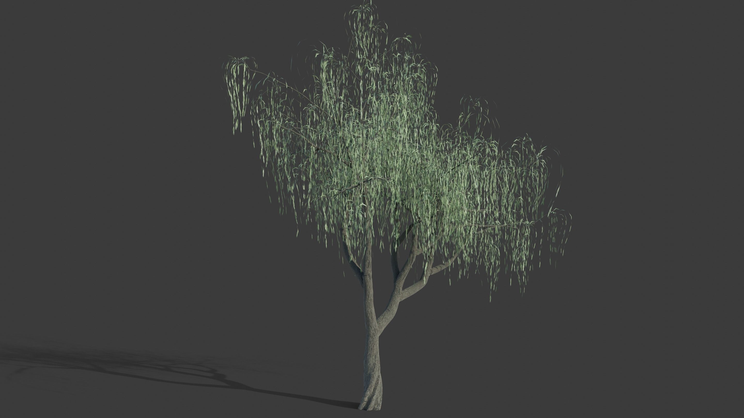 Tree Collection - 20 Tree Asset Pack 3D model | CGTrader