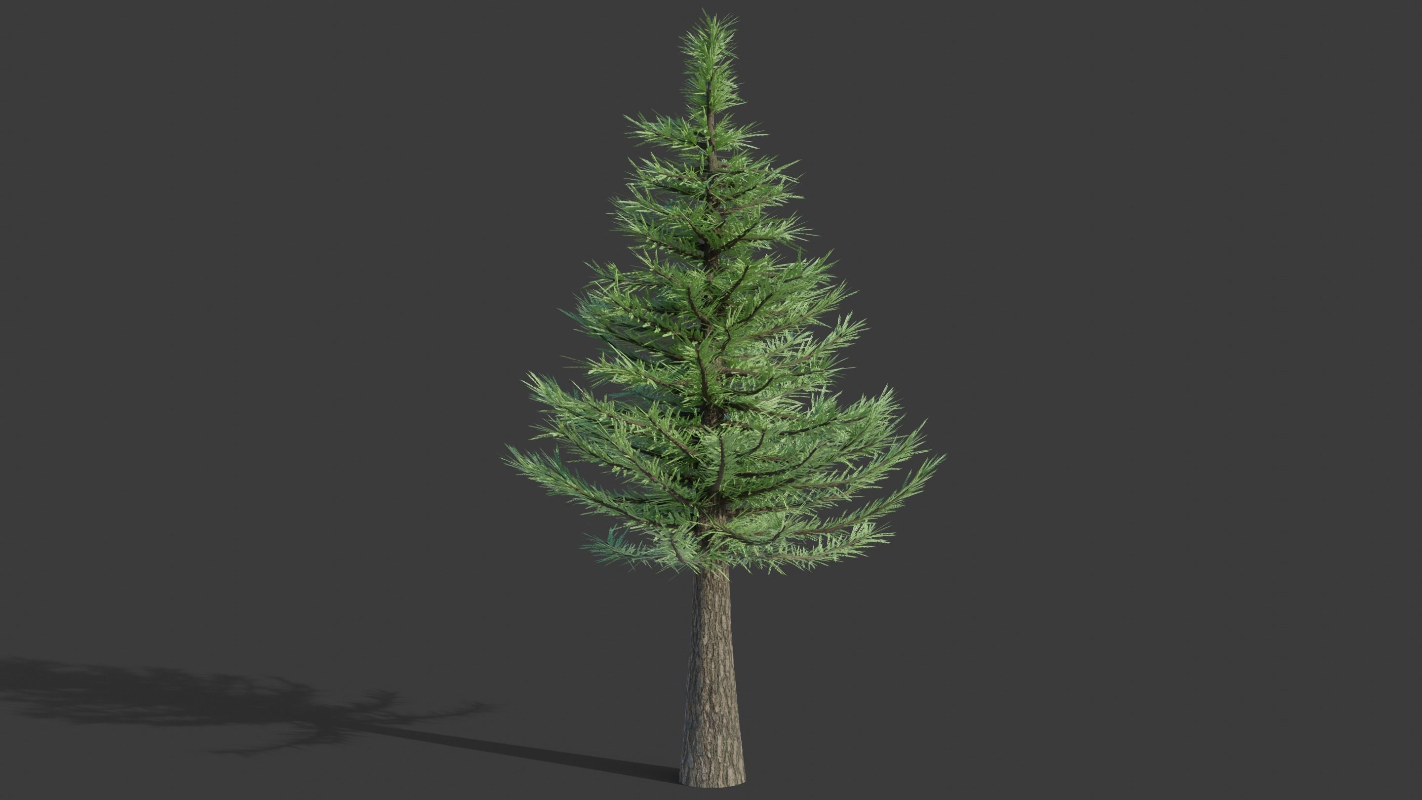 Tree Collection - 20 Tree Asset Pack 3D model | CGTrader