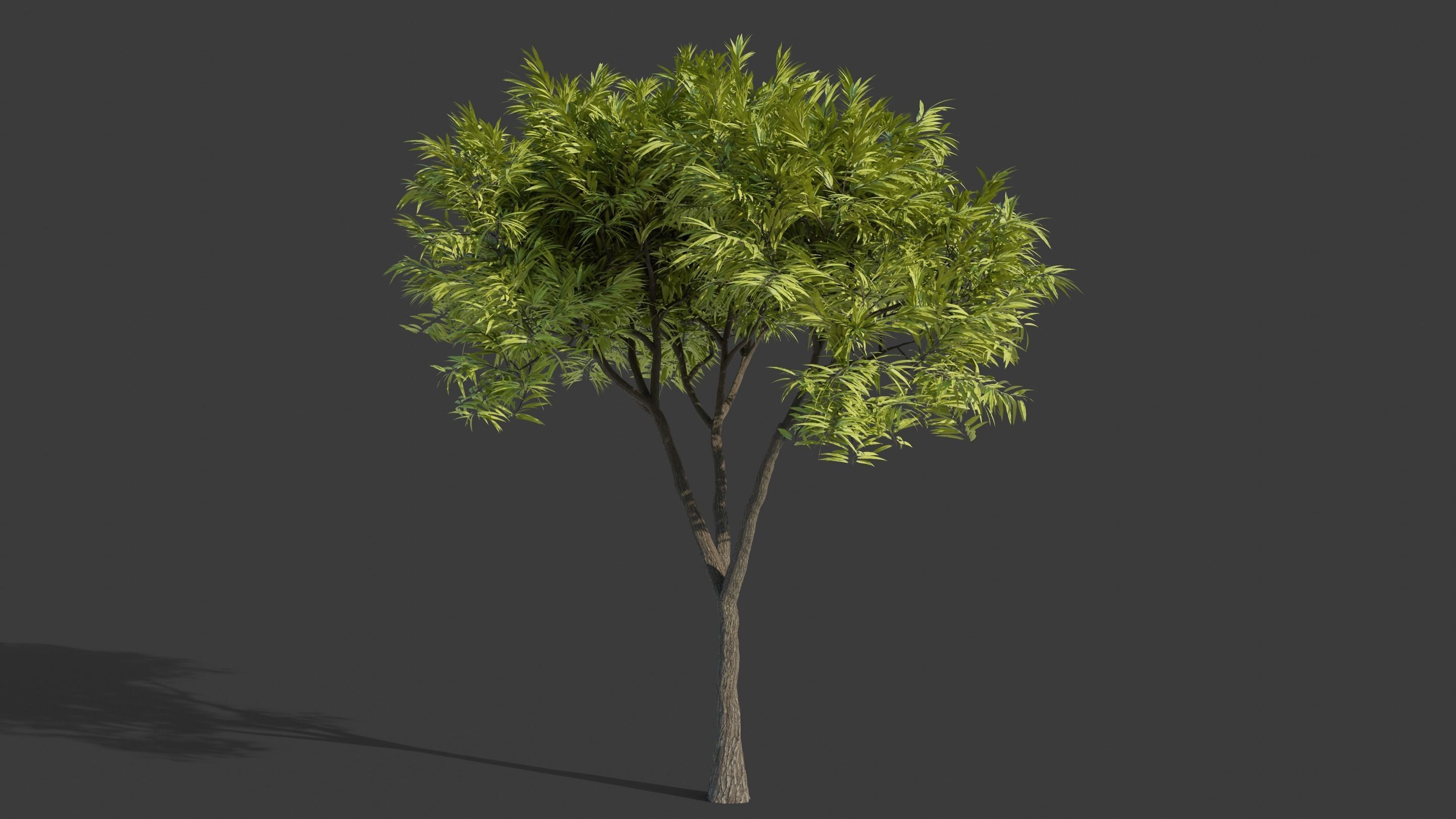 Tree Collection - 20 Tree Asset Pack 3D model | CGTrader