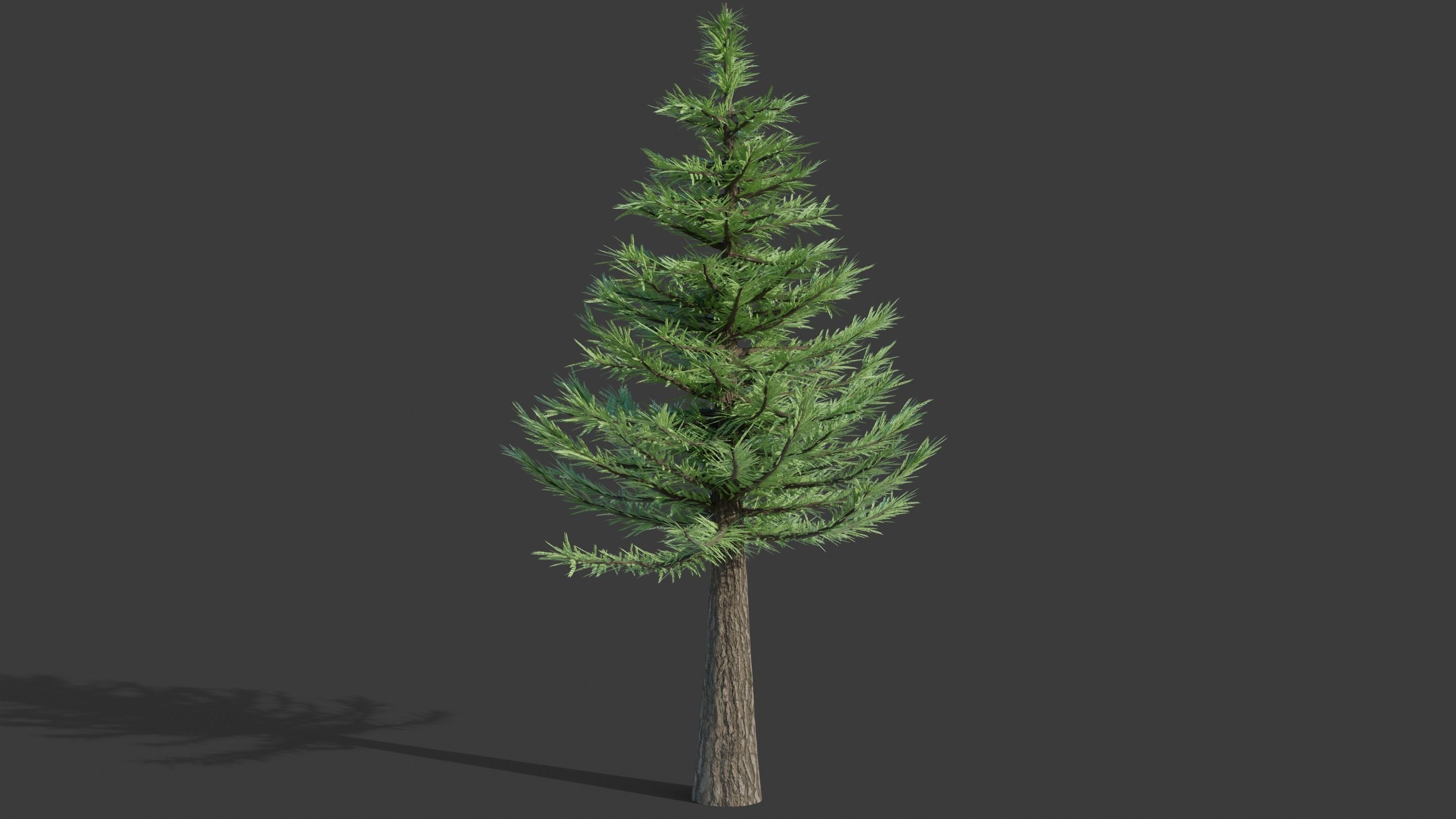 Tree Collection - 20 Tree Asset Pack 3D model | CGTrader