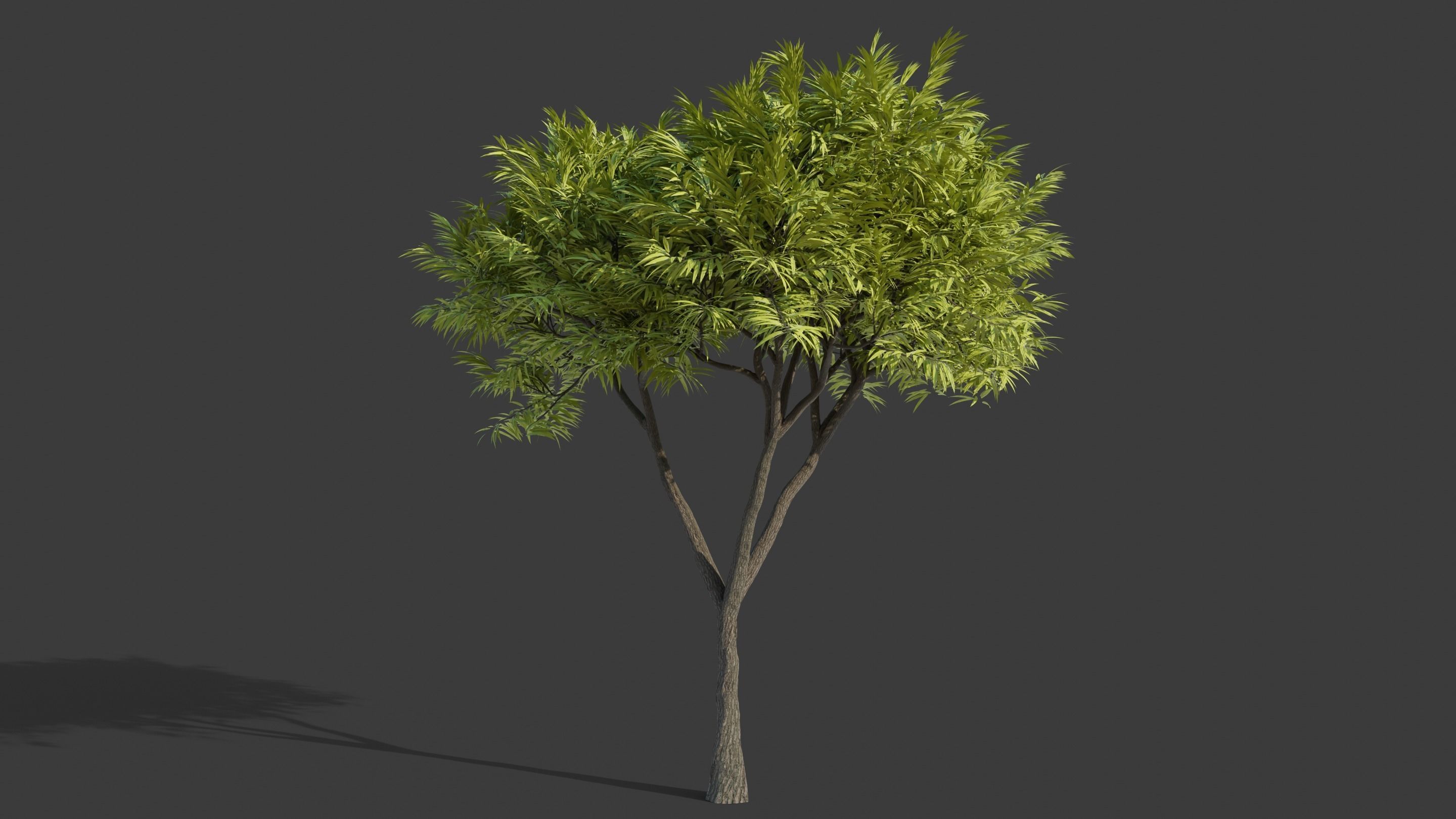 Tree Collection - 20 Tree Asset Pack 3D model | CGTrader