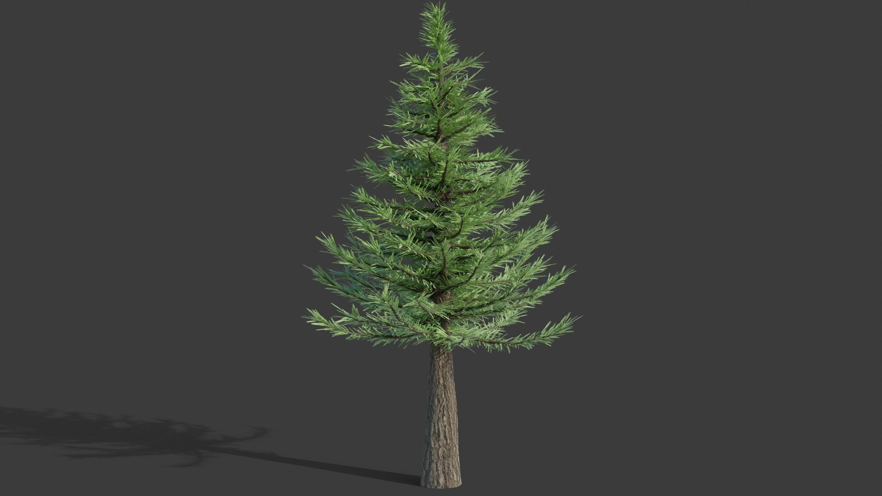 Tree Collection - 20 Tree Asset Pack 3D model | CGTrader