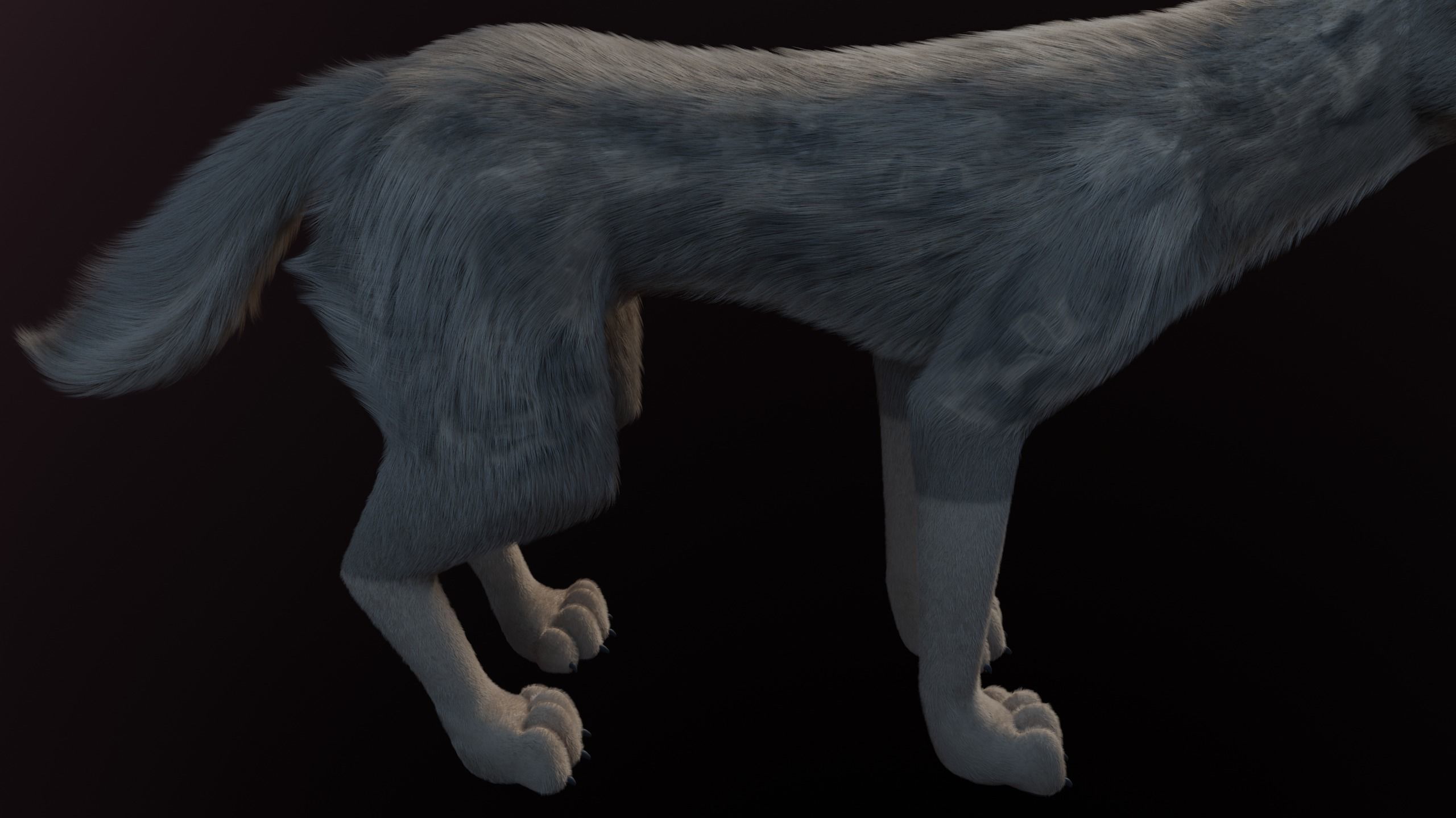 Trinity Wolf 3D model rigged | CGTrader