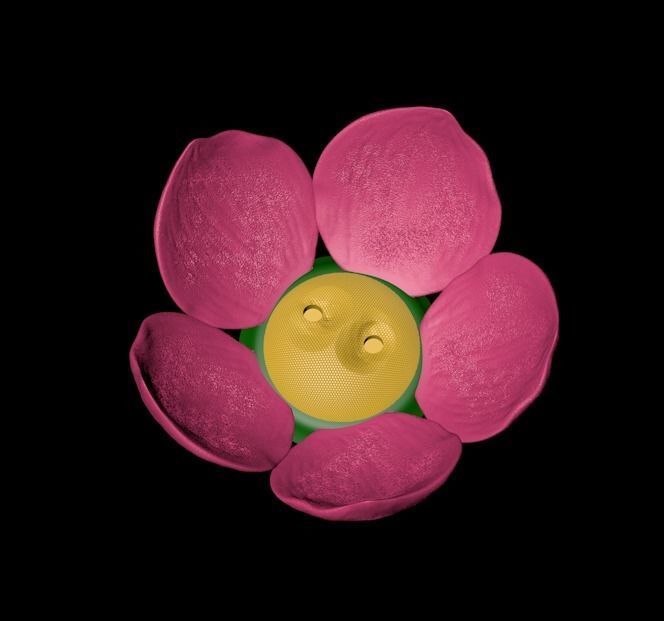 Fairy thinkerbell 3D model 3D printable | CGTrader