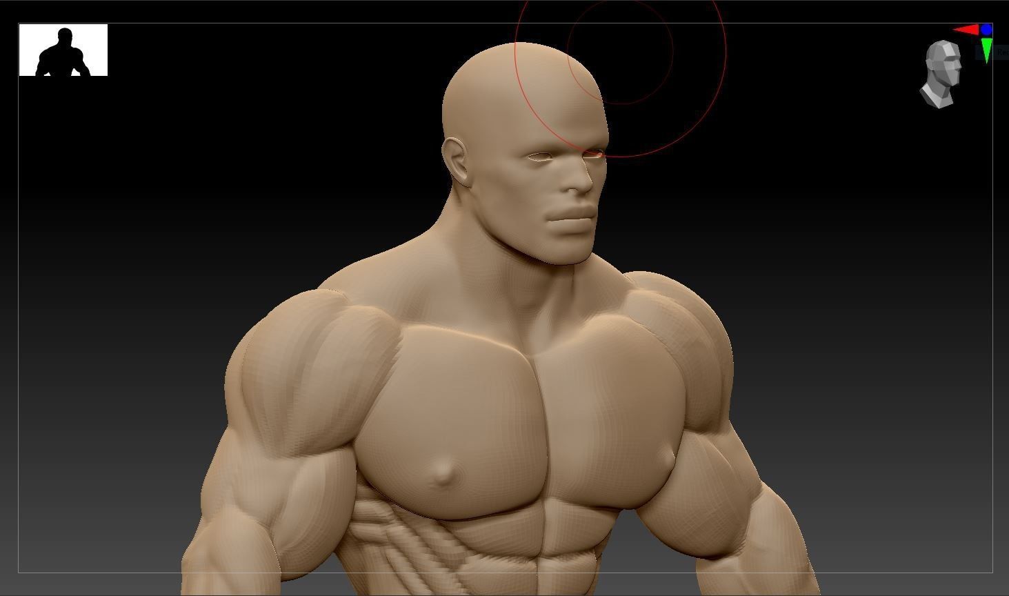 Male Bodybuilder 3D models 3D model rigged | CGTrader