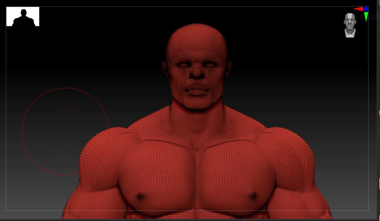 Male Bodybuilder 3D models 3D model rigged | CGTrader