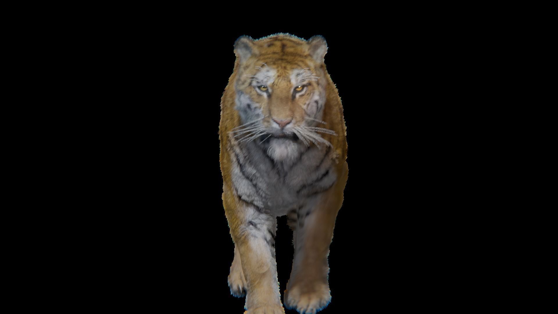 Realistic Tiger Rigged and Animated model- Blender 3D model animated ...