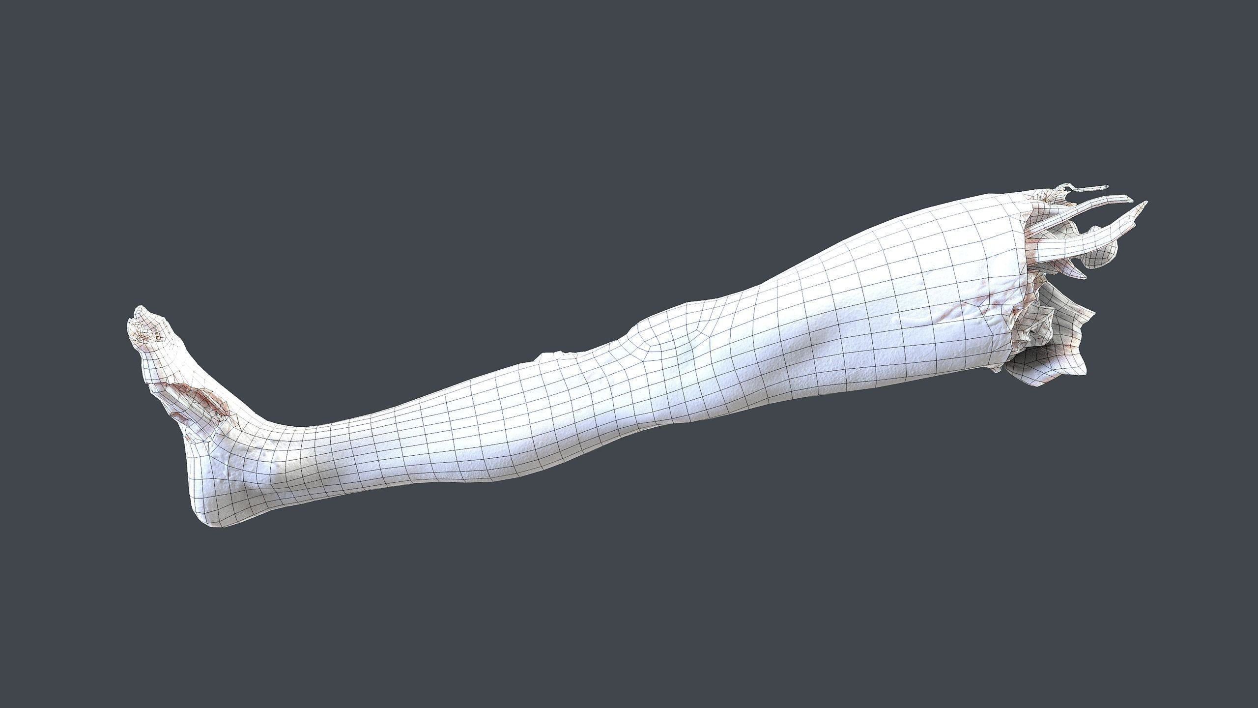 3D model Severed Feet Collection VR / AR / low-poly | CGTrader