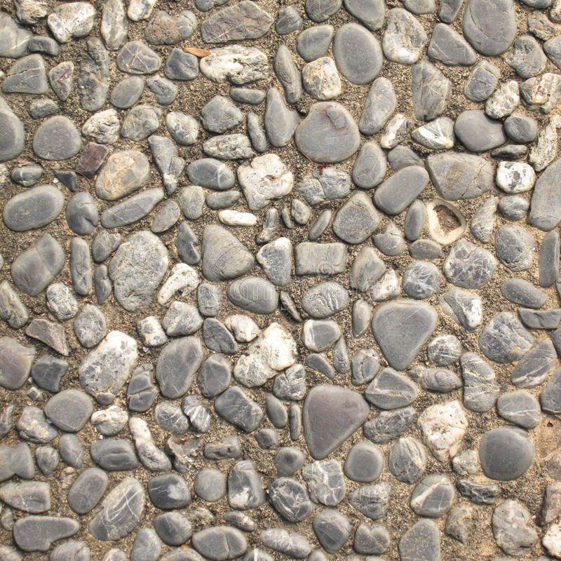 3D StonedTexture pebbles free Texture | CGTrader