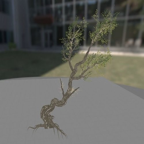 3D model Intermediate low Poly tree model VR / AR / low-poly | CGTrader