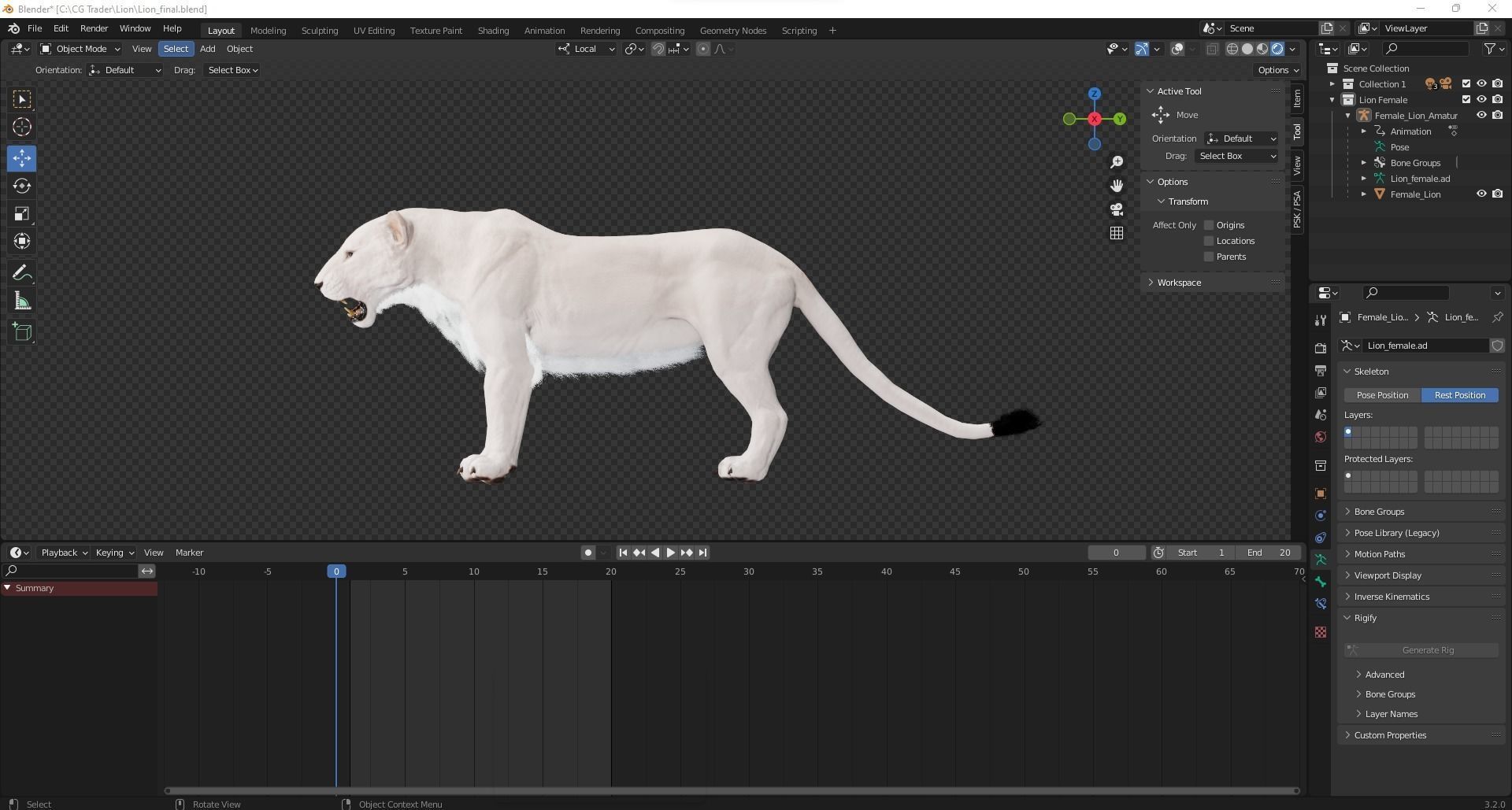 Lion Pack 3D Model Collection | CGTrader