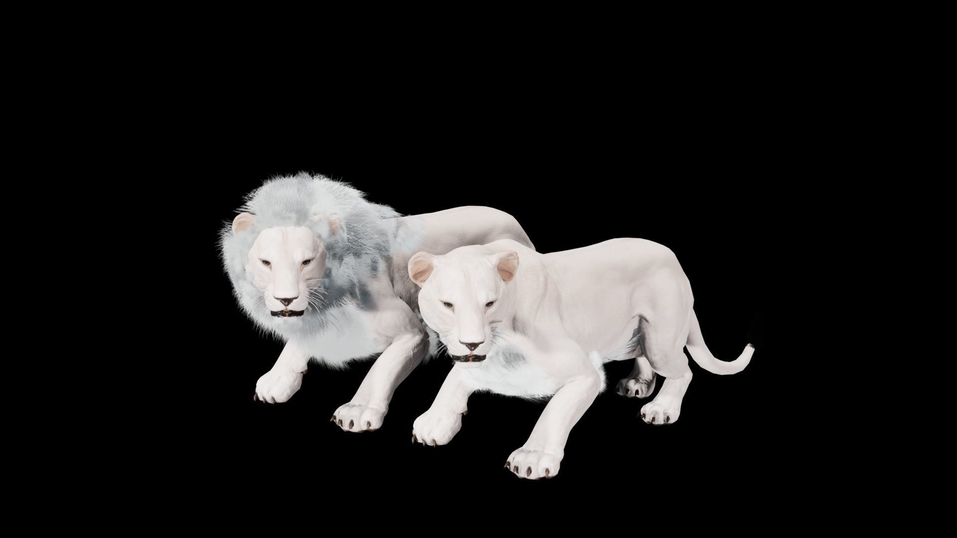 Lion Pack 3D Model Collection | CGTrader